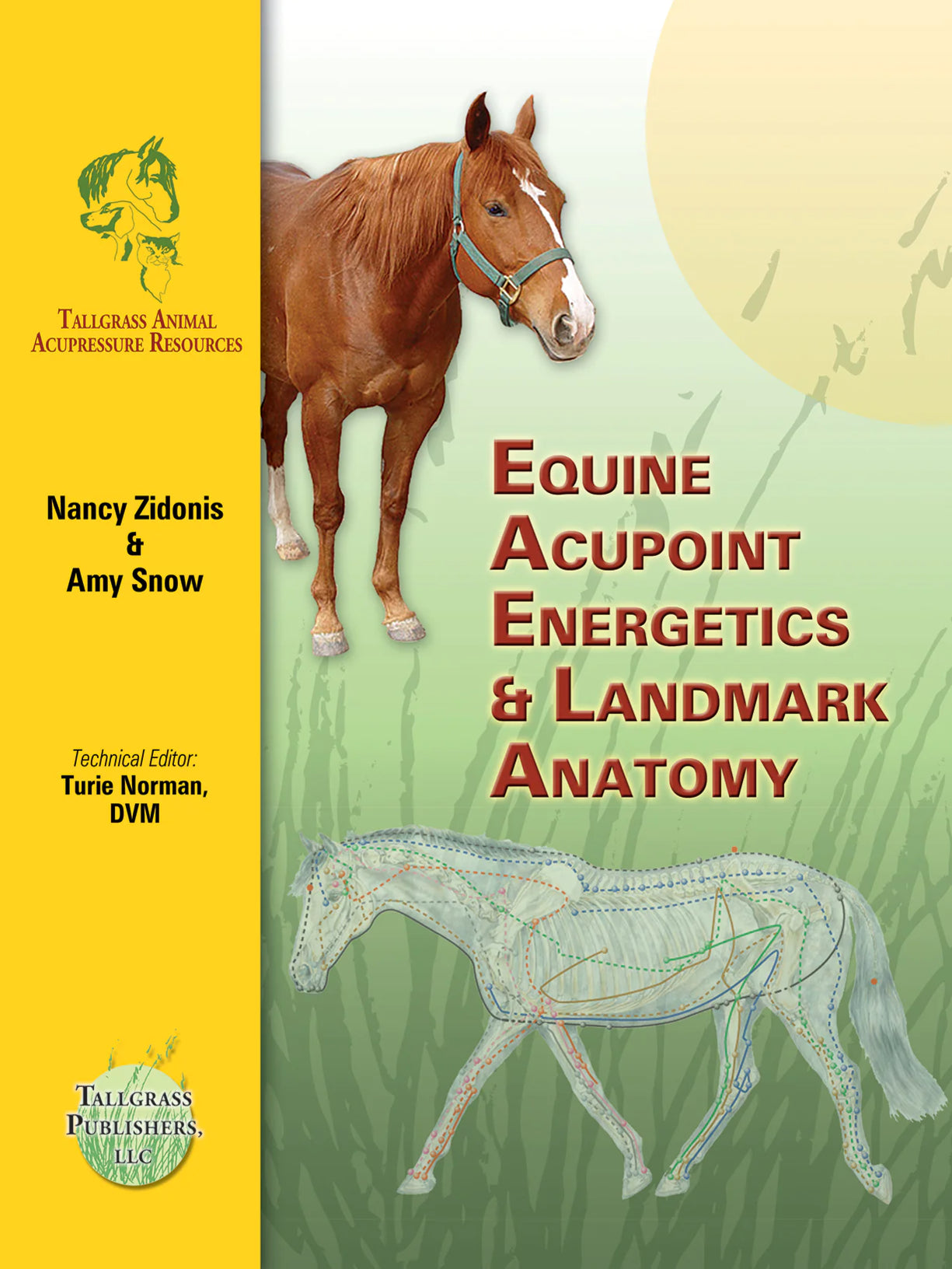 Equine acupoint energetics book | Manual | Landmark anatomy book