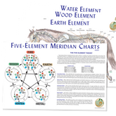 Equine 5-Element Meridian Charts | Horse 5-Element Charts