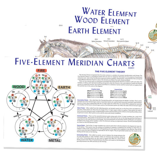 Equine 5-Element Meridian Charts | Horse 5-Element Charts