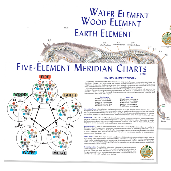 Equine 5-Element Meridian Charts | Horse 5-Element Charts