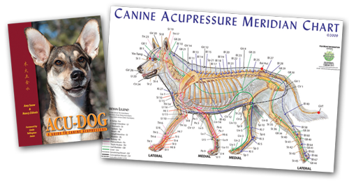 Canine acupressure meridian chart | Dog acupressure points chart