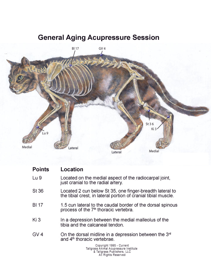 Feline acupressure training book | Cat acupressure training guide