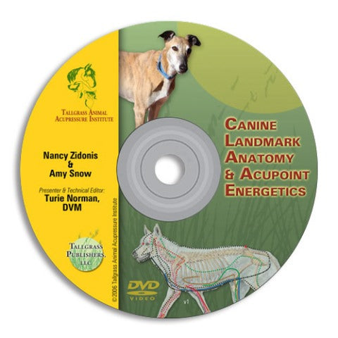 Digital-Canine Acupoint & Anatomy DVD