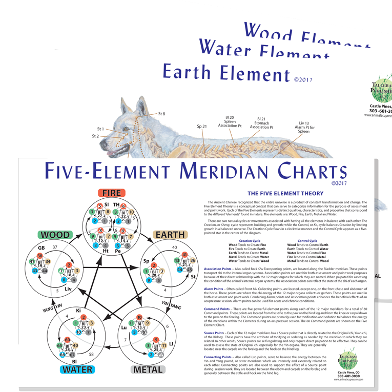 Canine 5-Element Meridian Charts | Dog 5-Element Meridian Charts