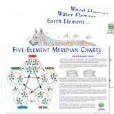 Canine 5-Element Meridian Charts | Dog 5-Element Meridian Charts