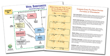 Zang Fu pattern identification study guide | Patterns chart