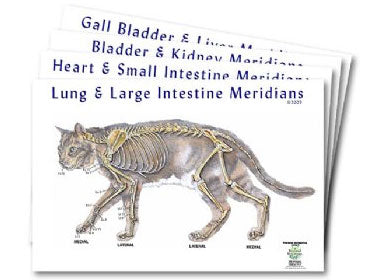 Feline 5-Element Meridian Charts | Cat 5-Element Meridian Charts